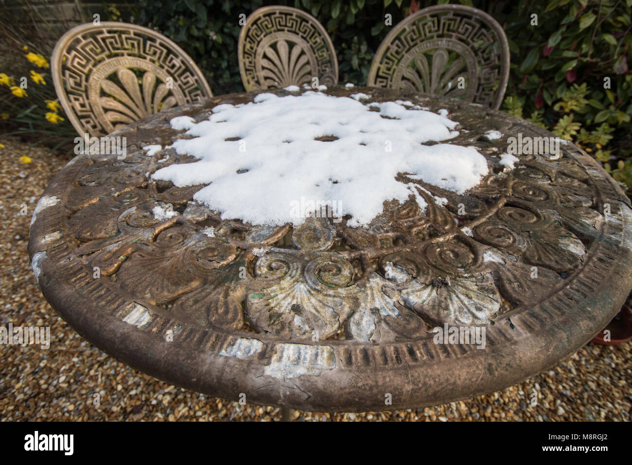 Winter scene in the garden after "mini Beast from the East", March 2018 ...