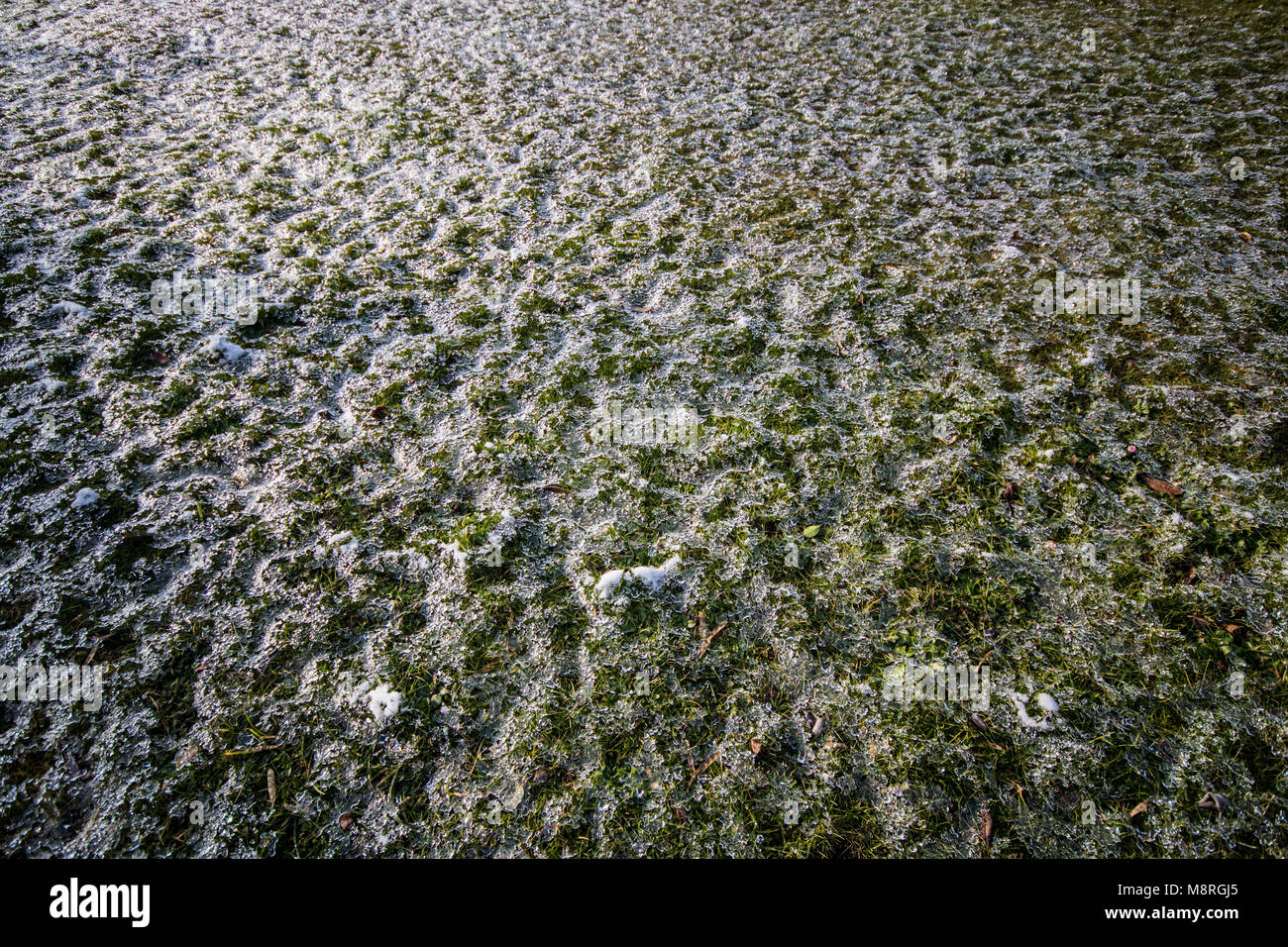 Mini beast house hi-res stock photography and images - Alamy