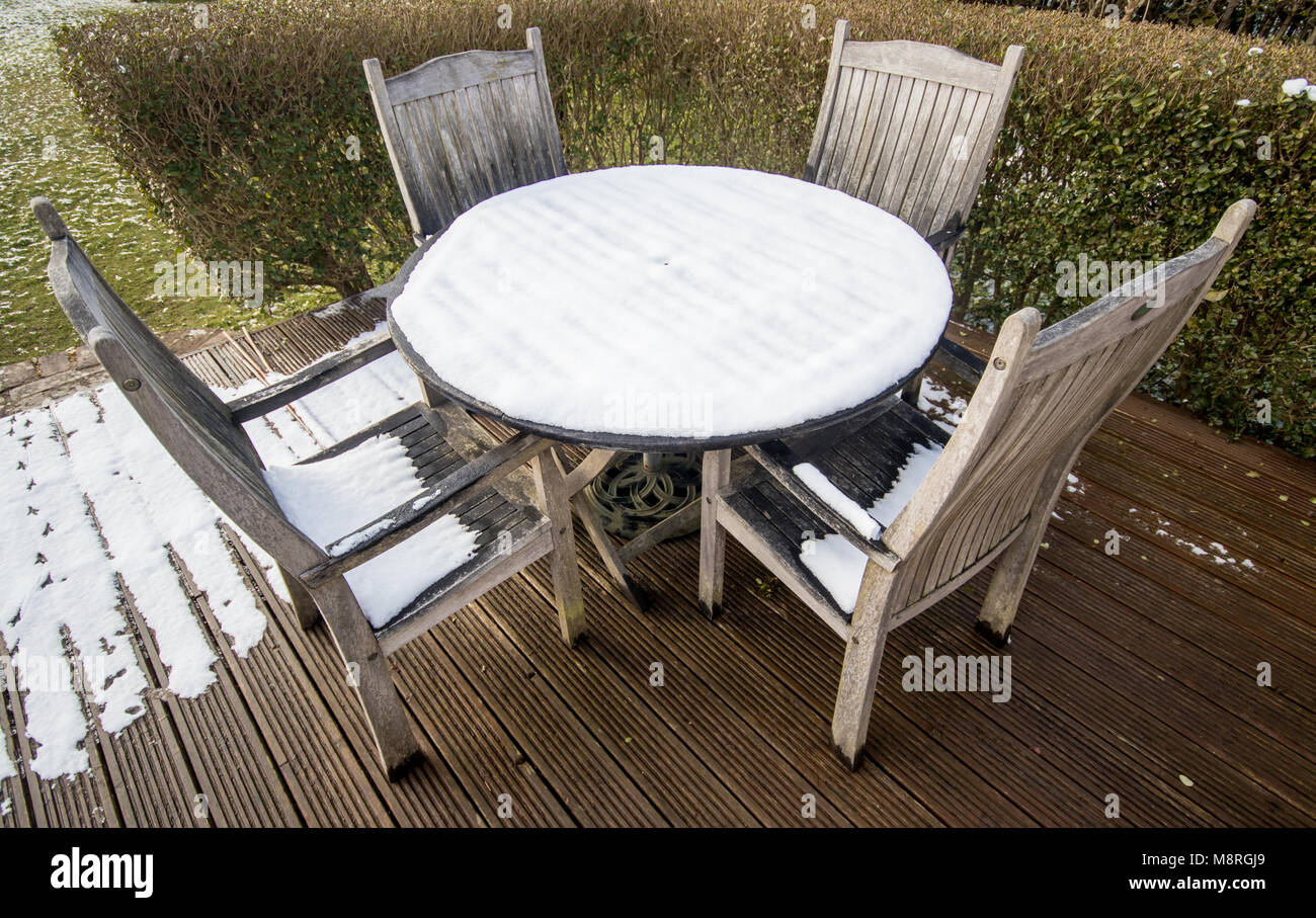 Mini beast house hi-res stock photography and images - Alamy