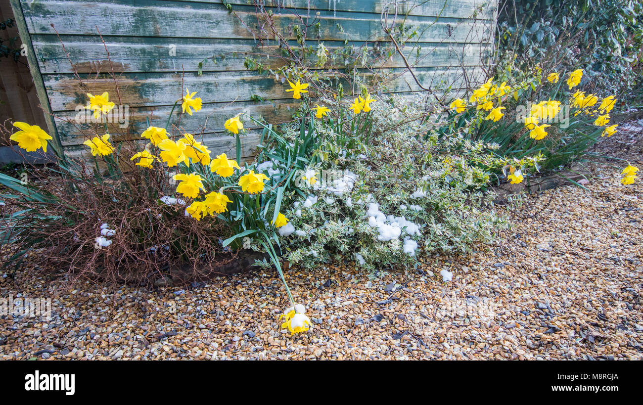 Mini beast house hi-res stock photography and images - Alamy