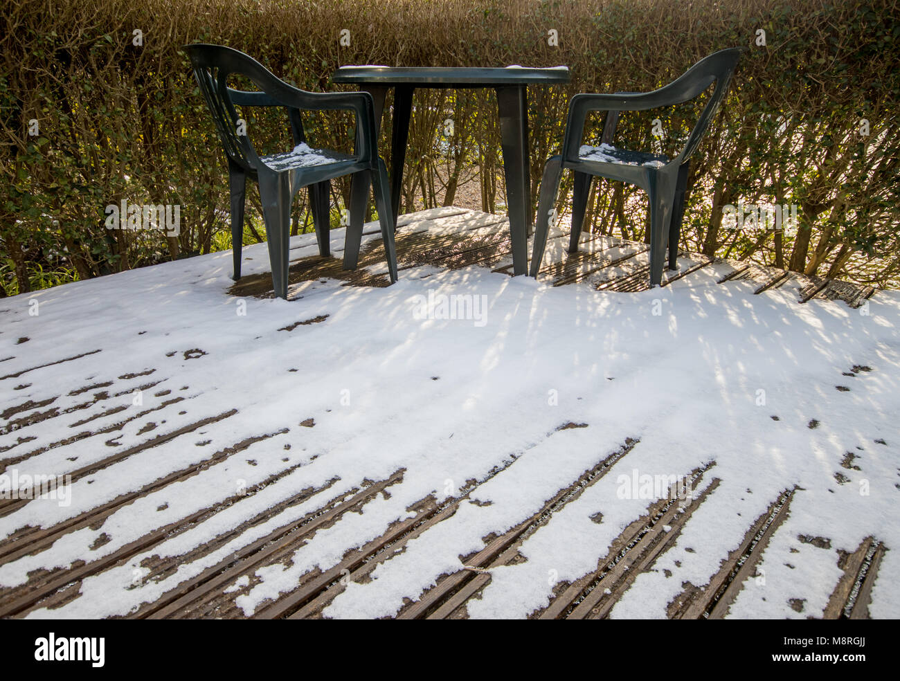 Mini beast house hi-res stock photography and images - Alamy
