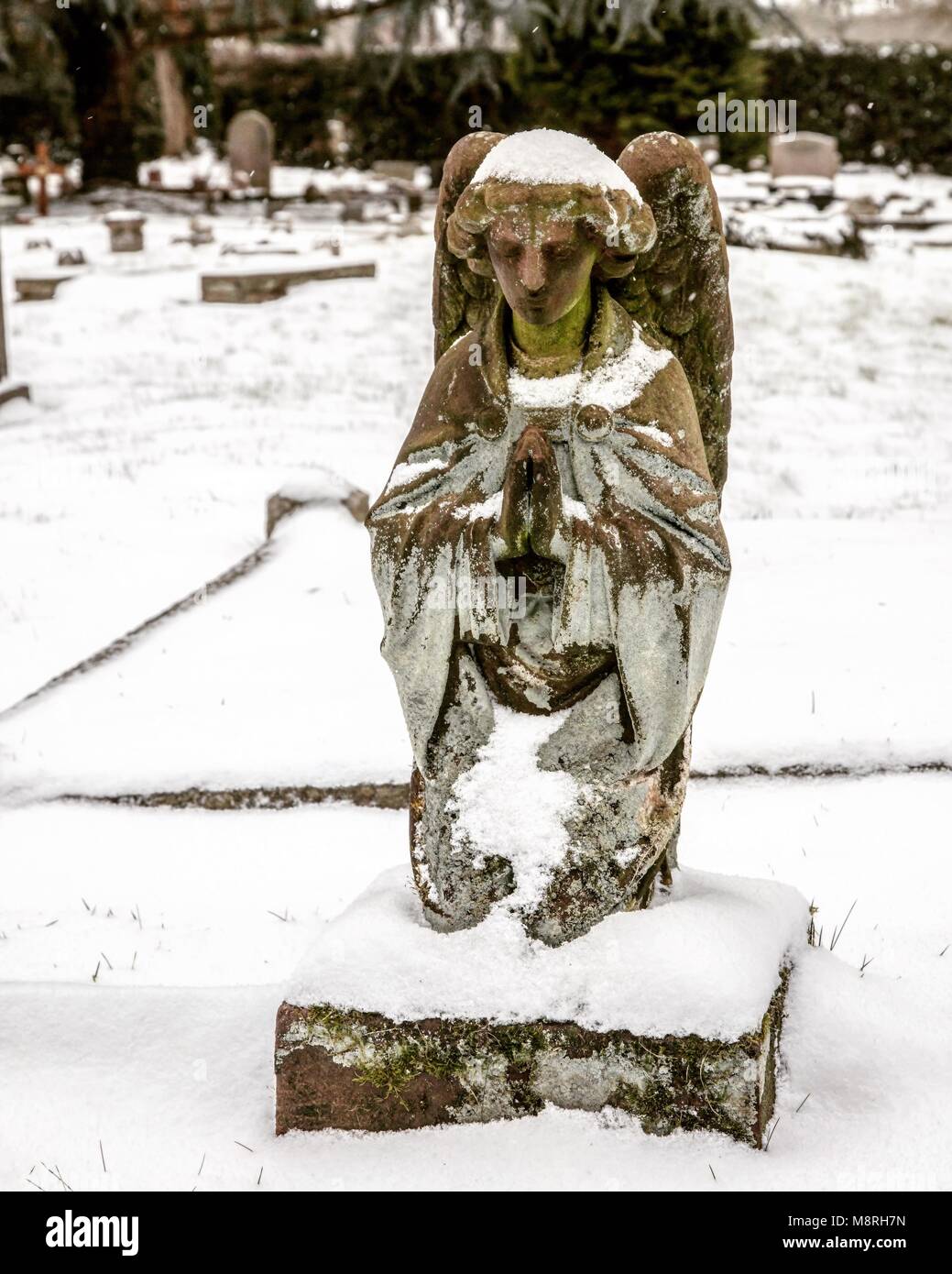 Weeping angel and grave hi-res stock photography and images - Alamy