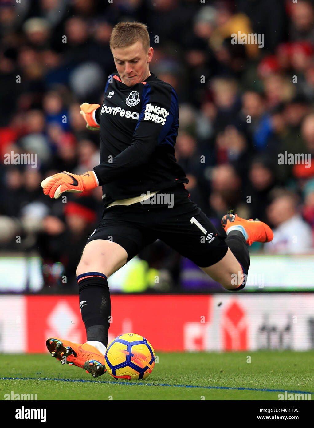 Everton goalkeeper Jordan Pickford Stock Photo - Alamy
