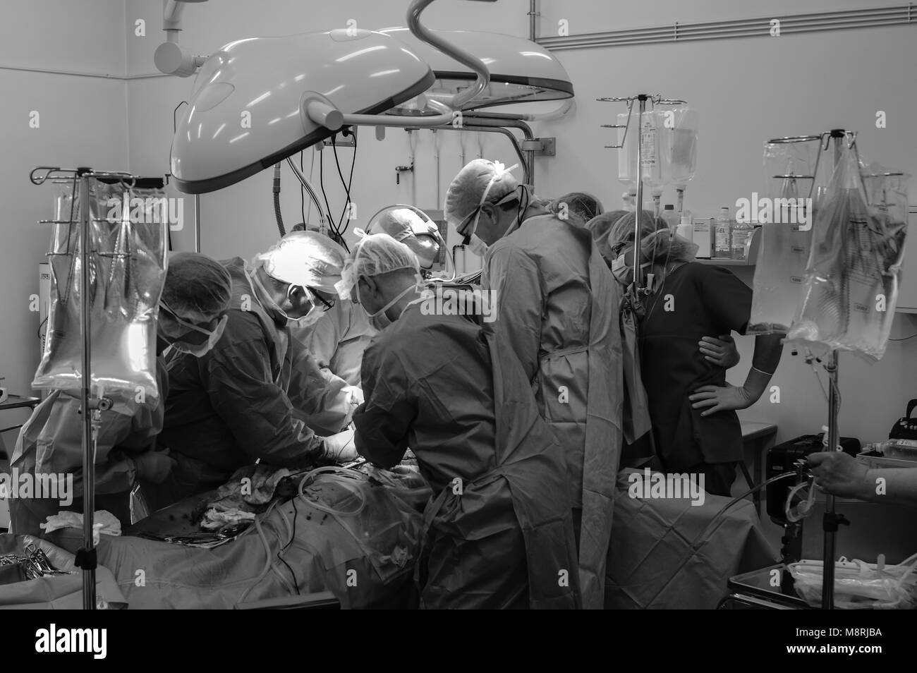 Surgeons at work Stock Photo - Alamy