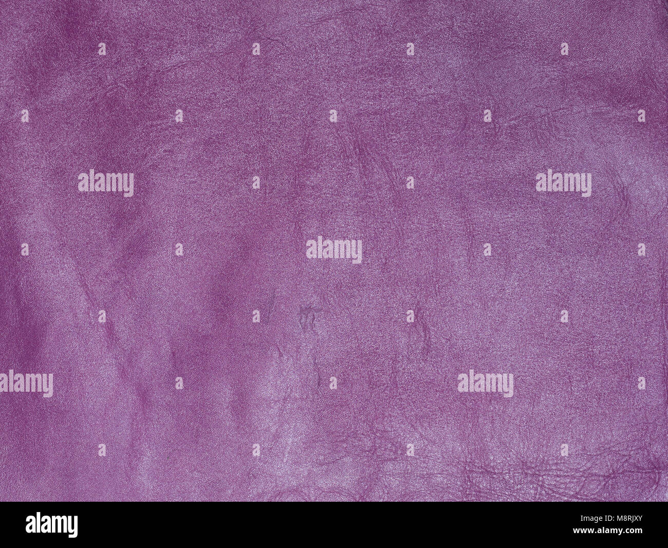 Natural, real purple leather texture Stock Photo - Alamy