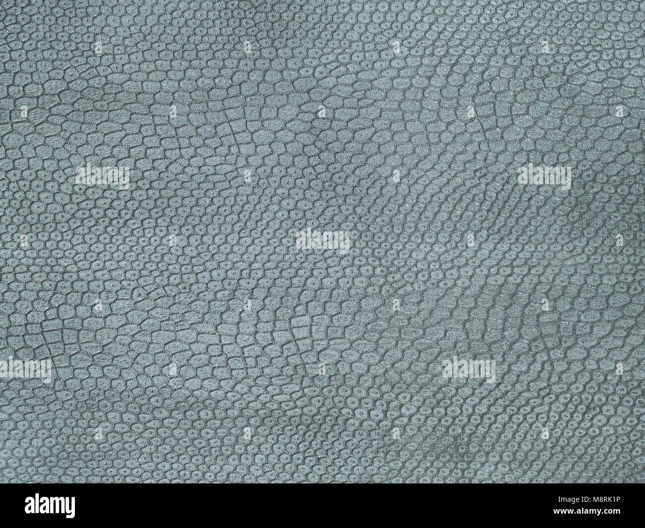 Natural, real grey snake leather texture Stock Photo - Alamy