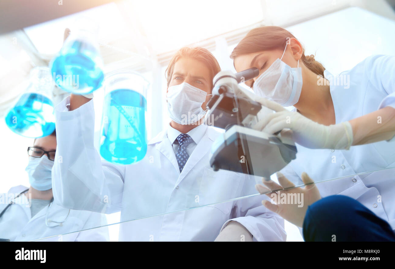 Lab hi-res stock photography and images - Alamy