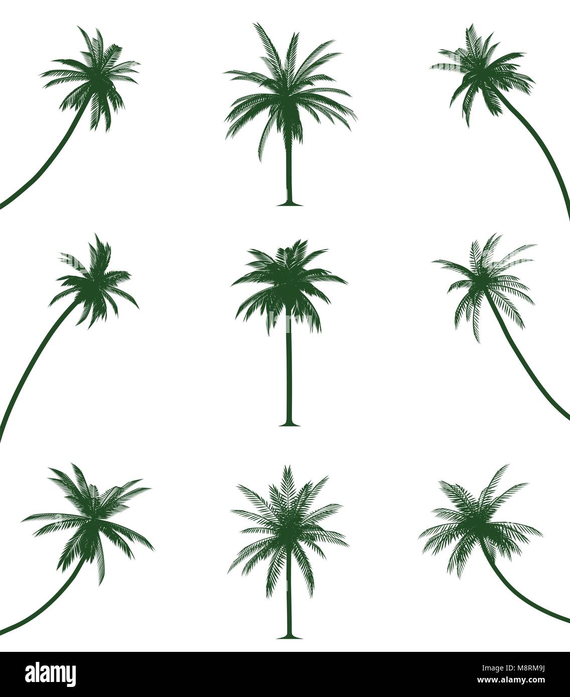 Green tropical palms trees Stock Vector Images - Alamy