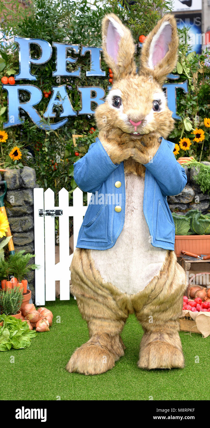 Peter rabbit costume hi-res stock photography and images - Alamy