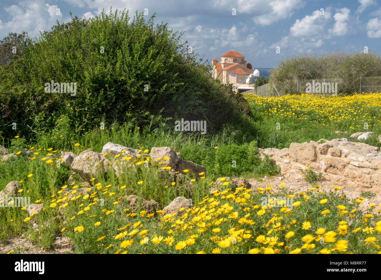 Church at Pegeia fern the archeological museum with yellow spring ...