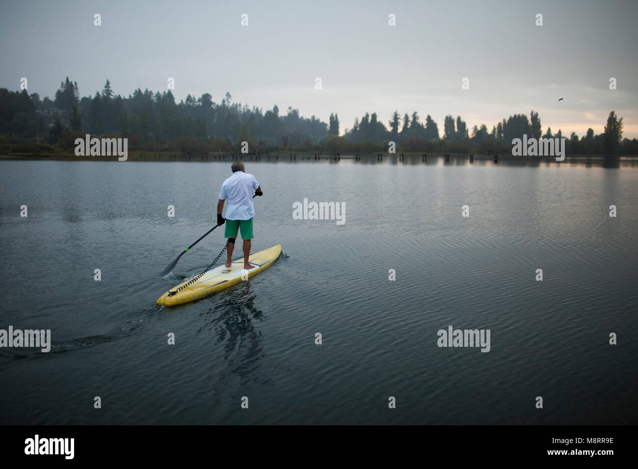 Senior man paddleboarding hi-res stock photography and images - Alamy