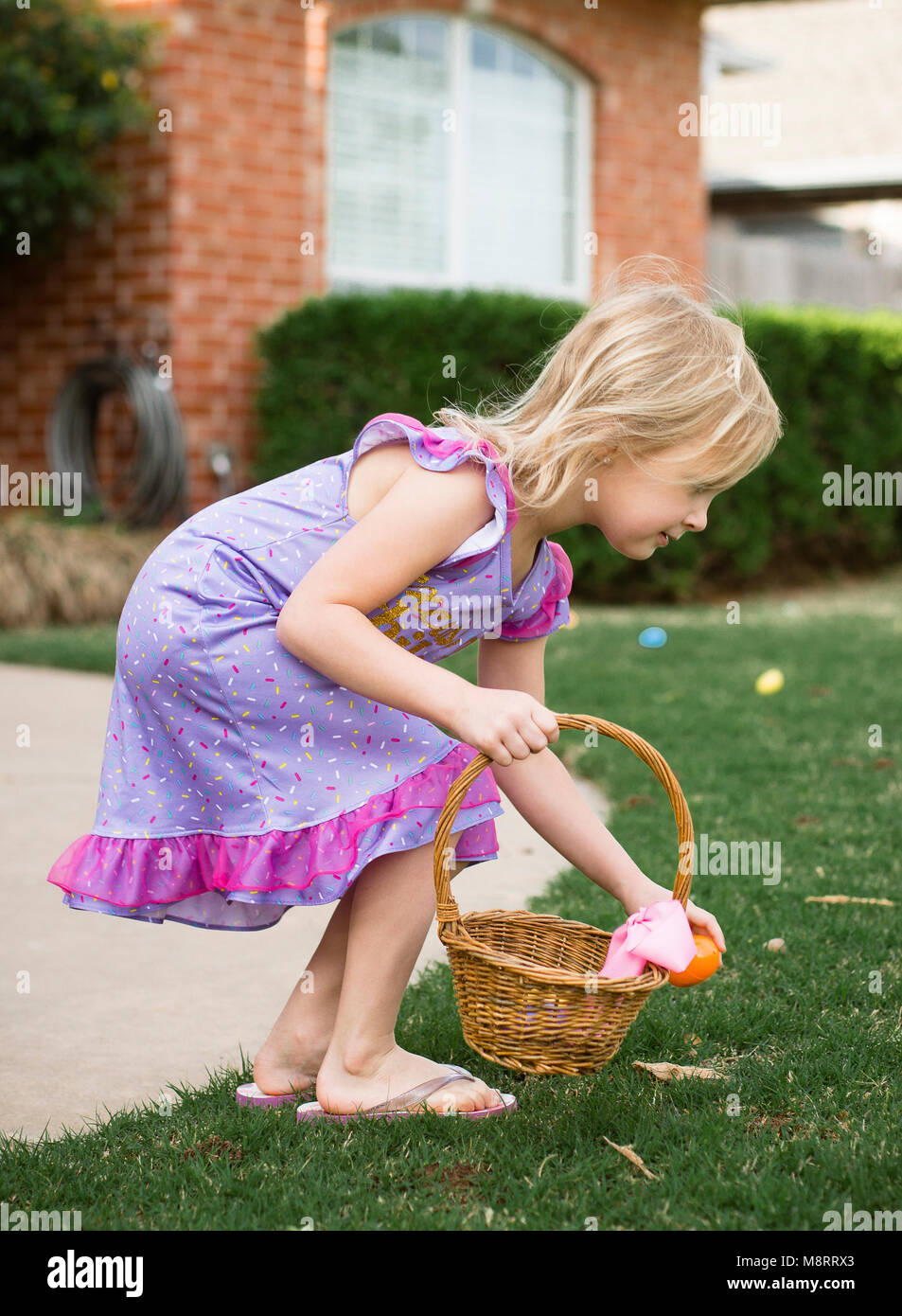 Collecting egg backyard hi-res stock photography and images - Alamy