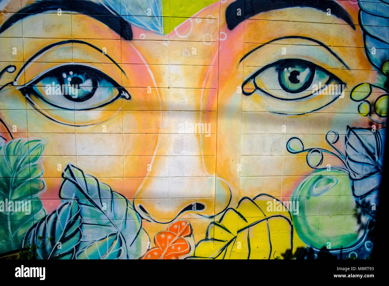 Colorful graffiti of a female face at a wall Stock Photo - Alamy