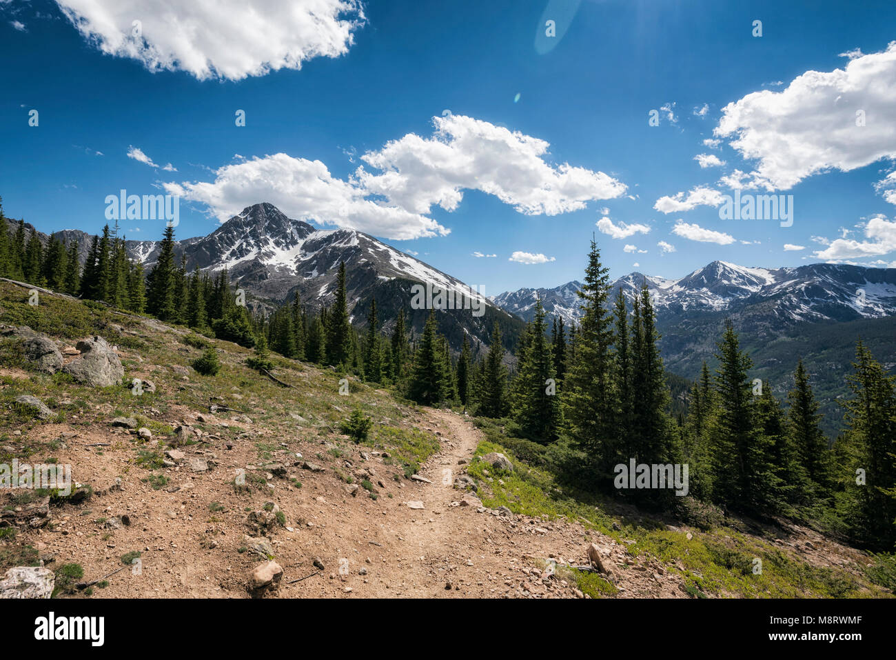 Trees on mountains hi-res stock photography and images - Alamy