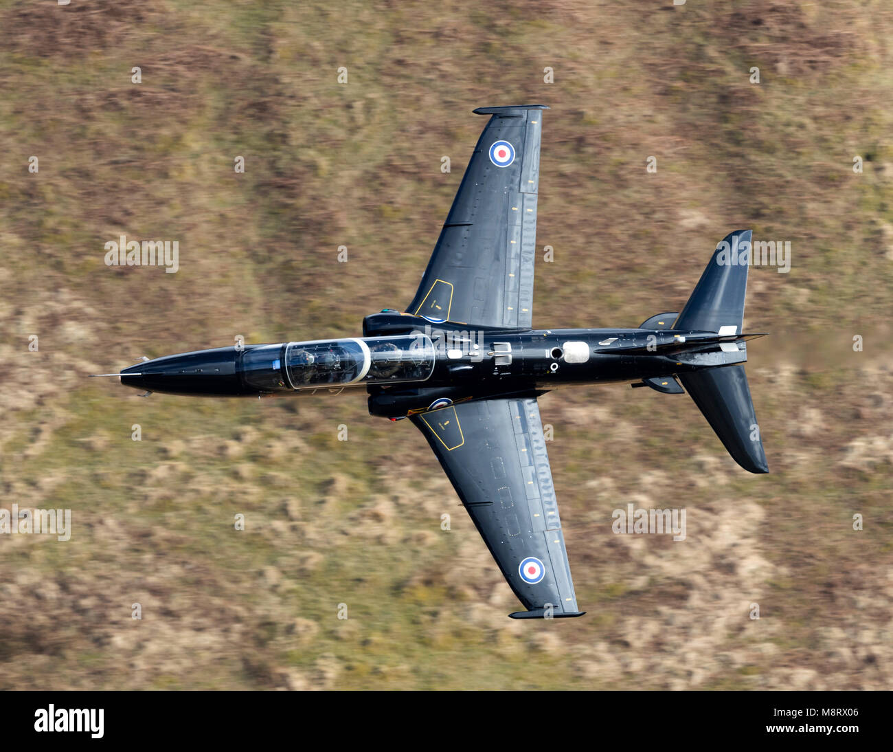 RAF T2 Hawk flying low level in LFA7, Snowdonia, Wales Stock Photo - Alamy