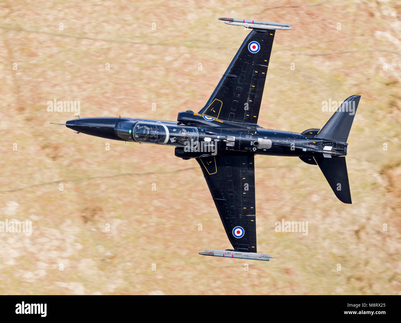 RAF T2 Hawk flying low level in LFA7, Snowdonia, Wales Stock Photo - Alamy