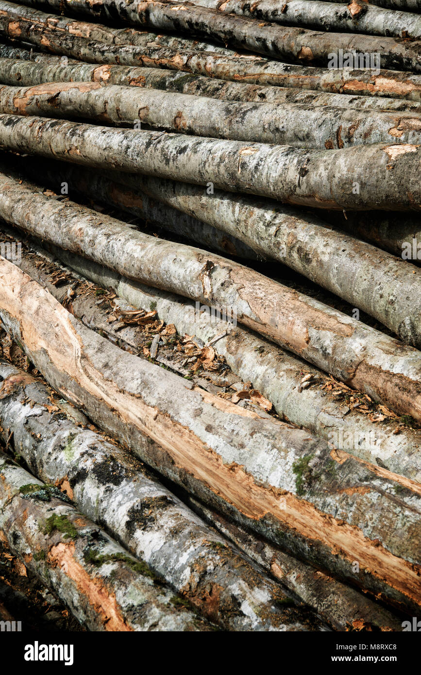 High angle view of logs Stock Photo - Alamy