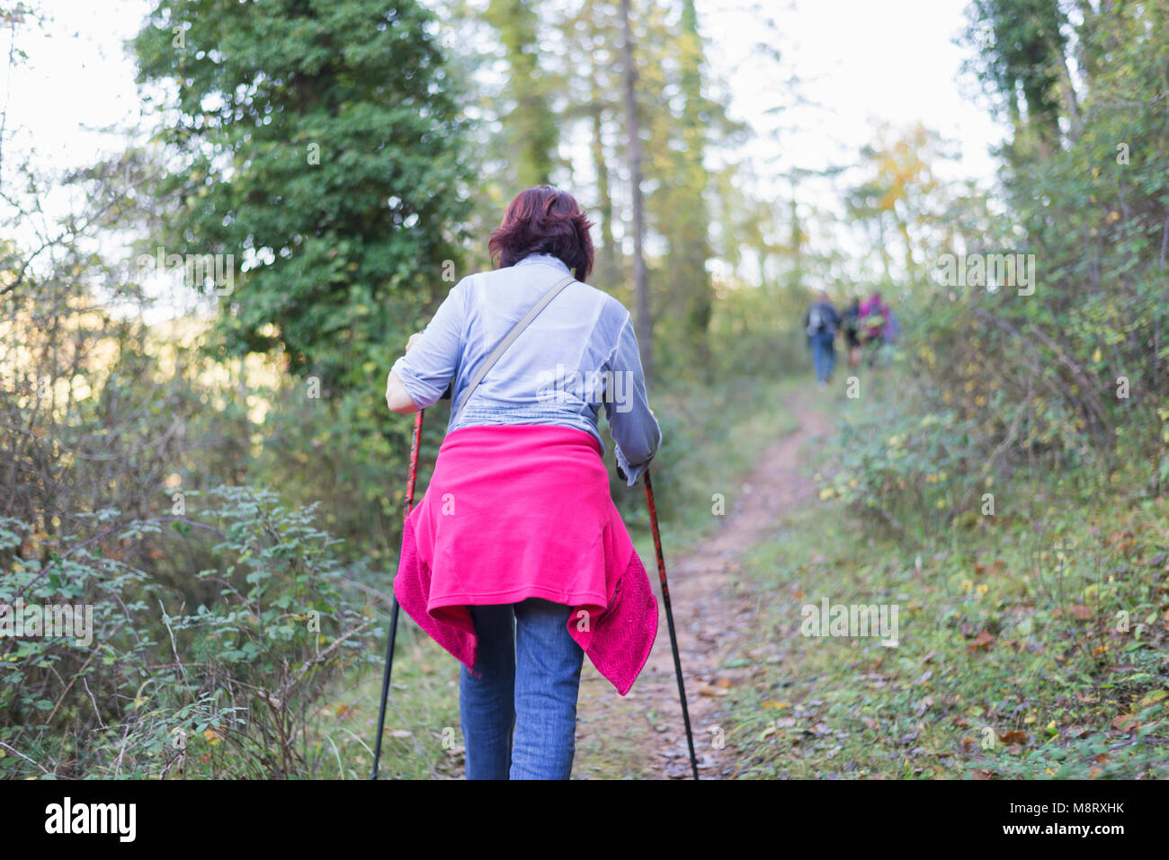 Rear view of woman walking on trail in forest Stock Photo - Alamy
