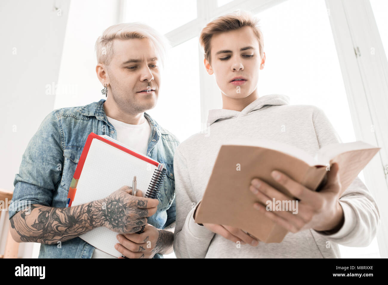 Students revising exam Stock Photo - Alamy