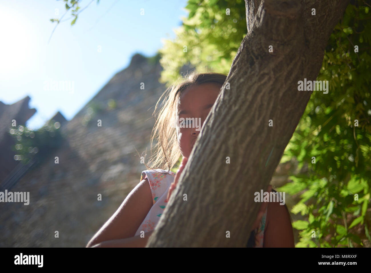 Portrait tree hi-res stock photography and images - Alamy