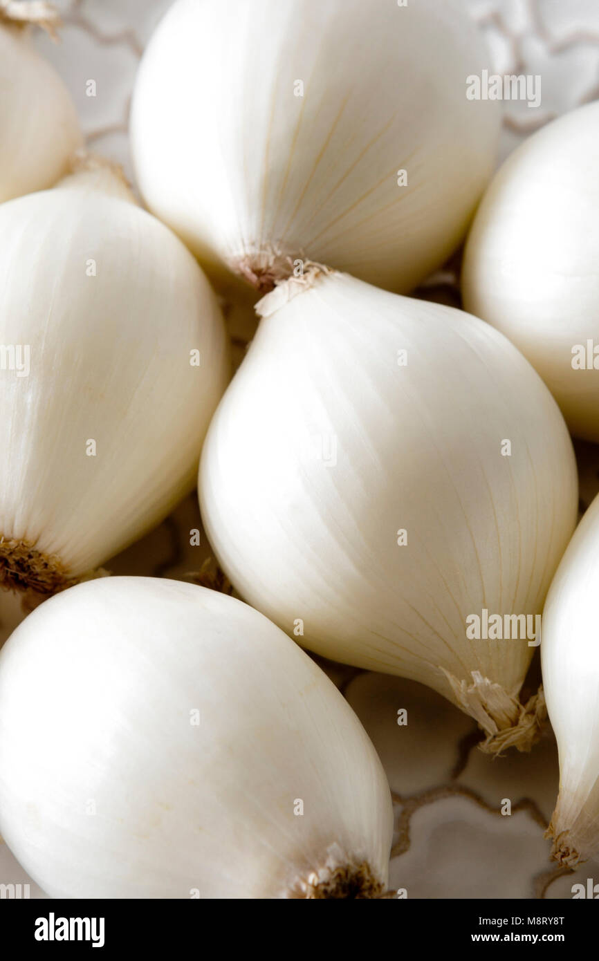 Still Life With Plate Of Onions High Resolution Stock Photography and ...