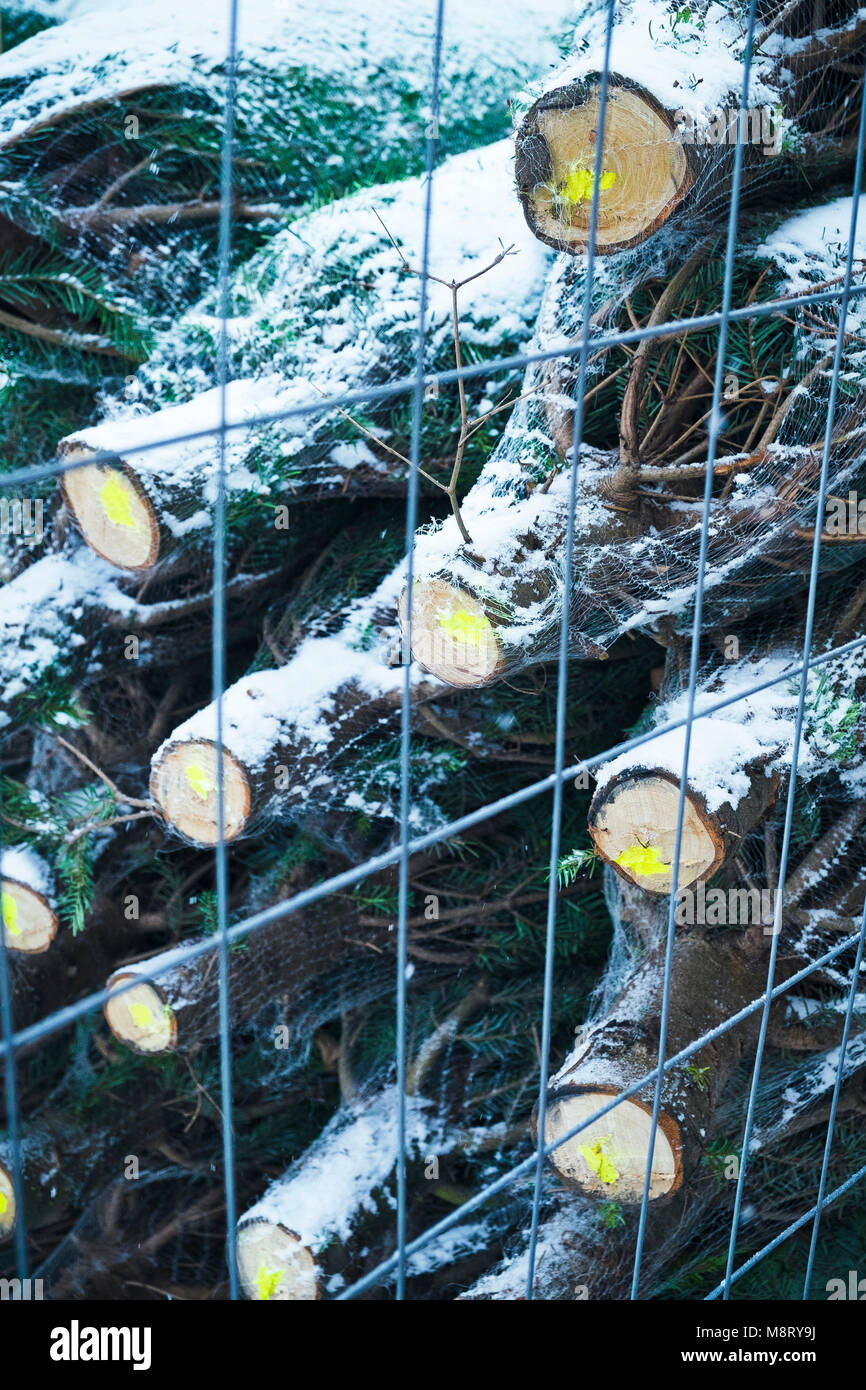 Pile of cut trees hi-res stock photography and images - Alamy