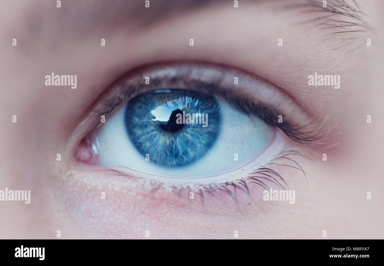 Sensory perception hi-res stock photography and images - Alamy