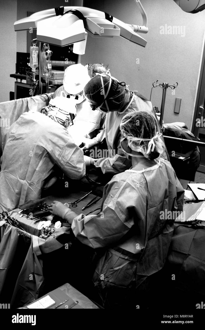 Surgeons at work Stock Photo - Alamy