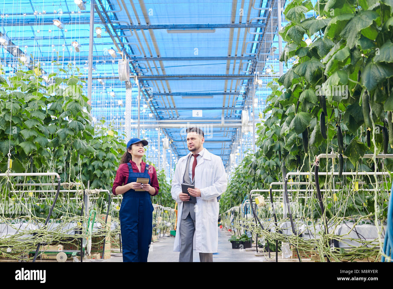 Farm Selections Talking to Worker Stock Photo - Alamy