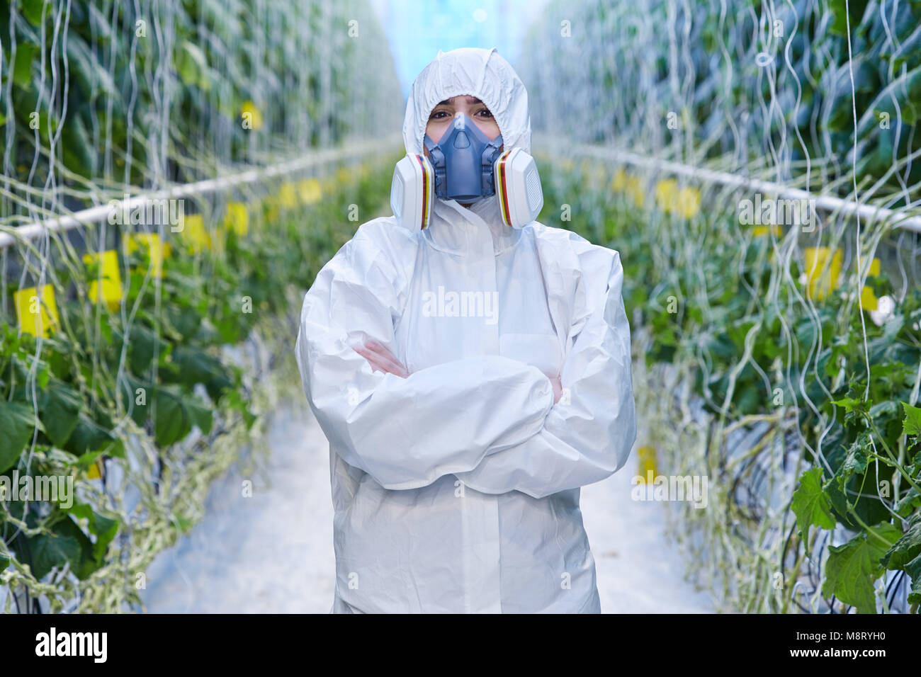 Plantation Worker in Protective Suit Stock Photo - Alamy