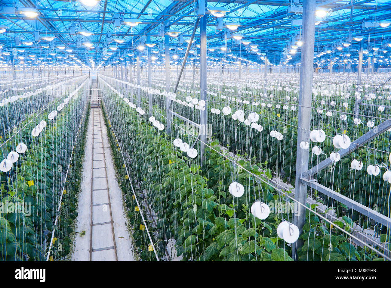Modern Plantation Background Stock Photo - Alamy