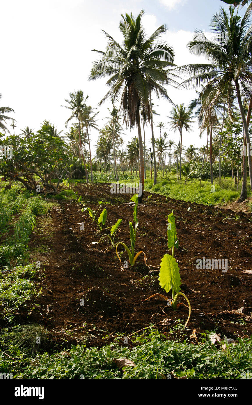 Lslands hi-res stock photography and images - Alamy