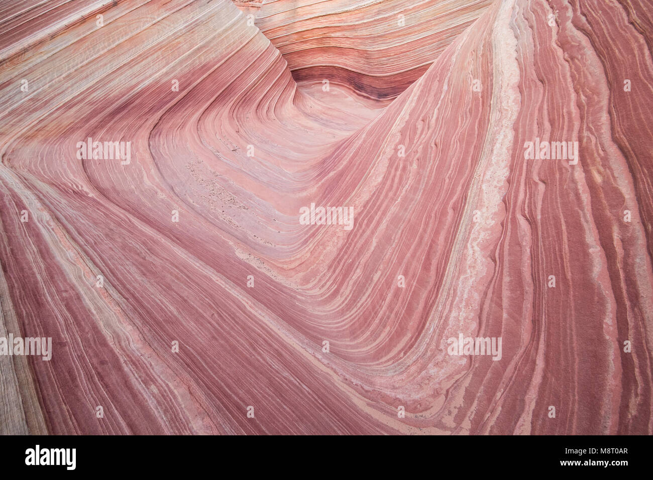 The Wave sandstone rock formation, located in Coyote Buttes North ...