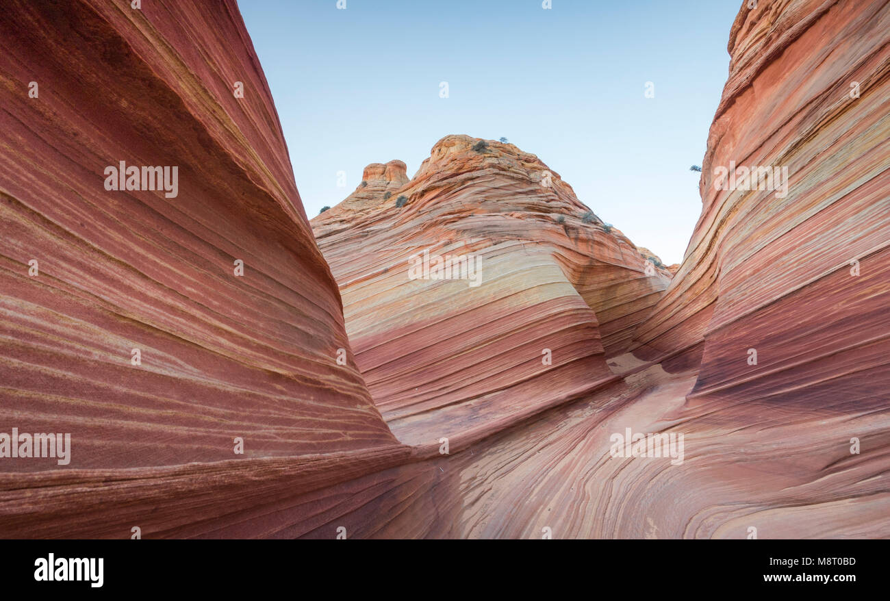 The Wave sandstone rock formation, located in Coyote Buttes North ...