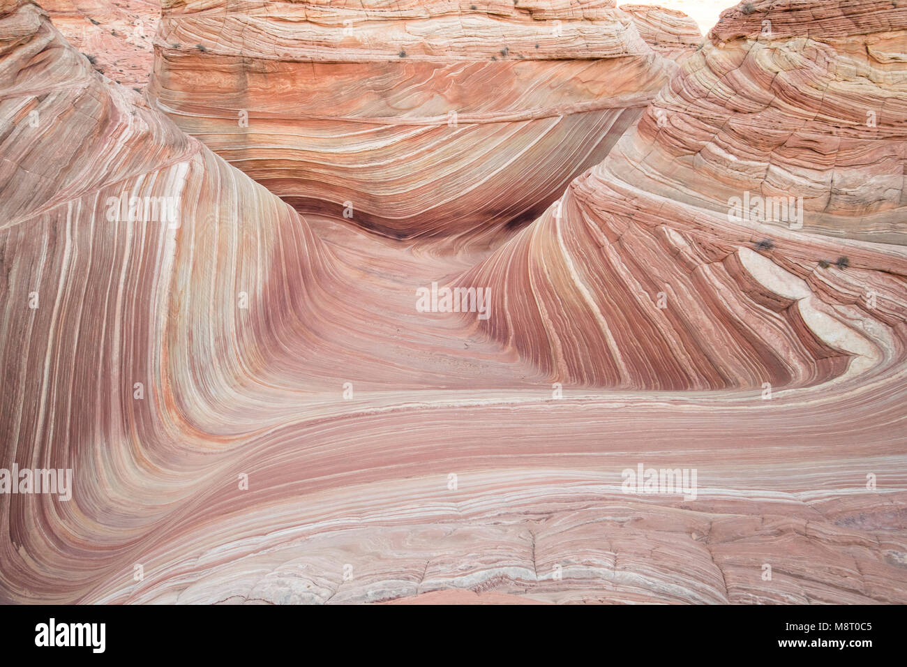 The Wave sandstone rock formation, located in Coyote Buttes North ...