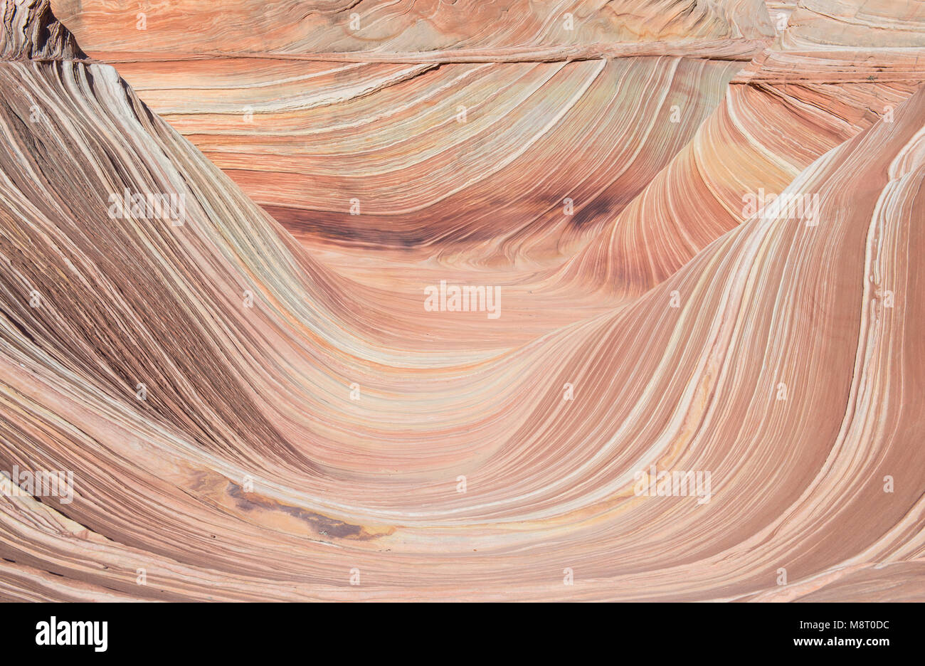 The Wave sandstone rock formation, located in Coyote Buttes North ...