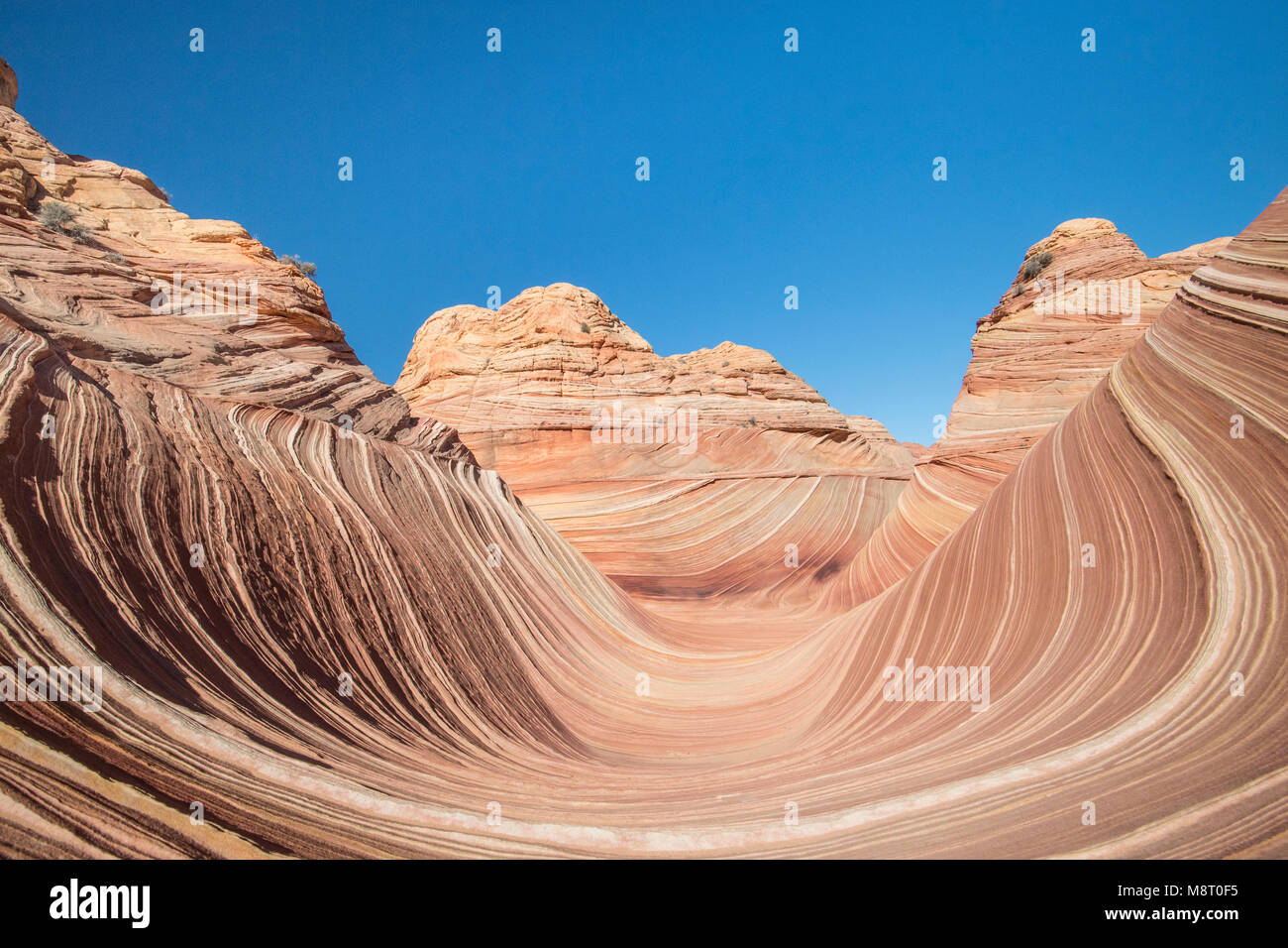 The Wave sandstone rock formation, located in Coyote Buttes North ...