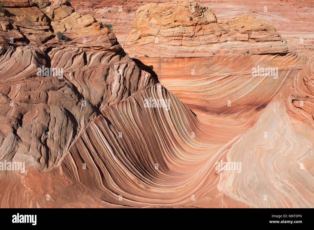 The Wave sandstone rock formation, located in Coyote Buttes North ...