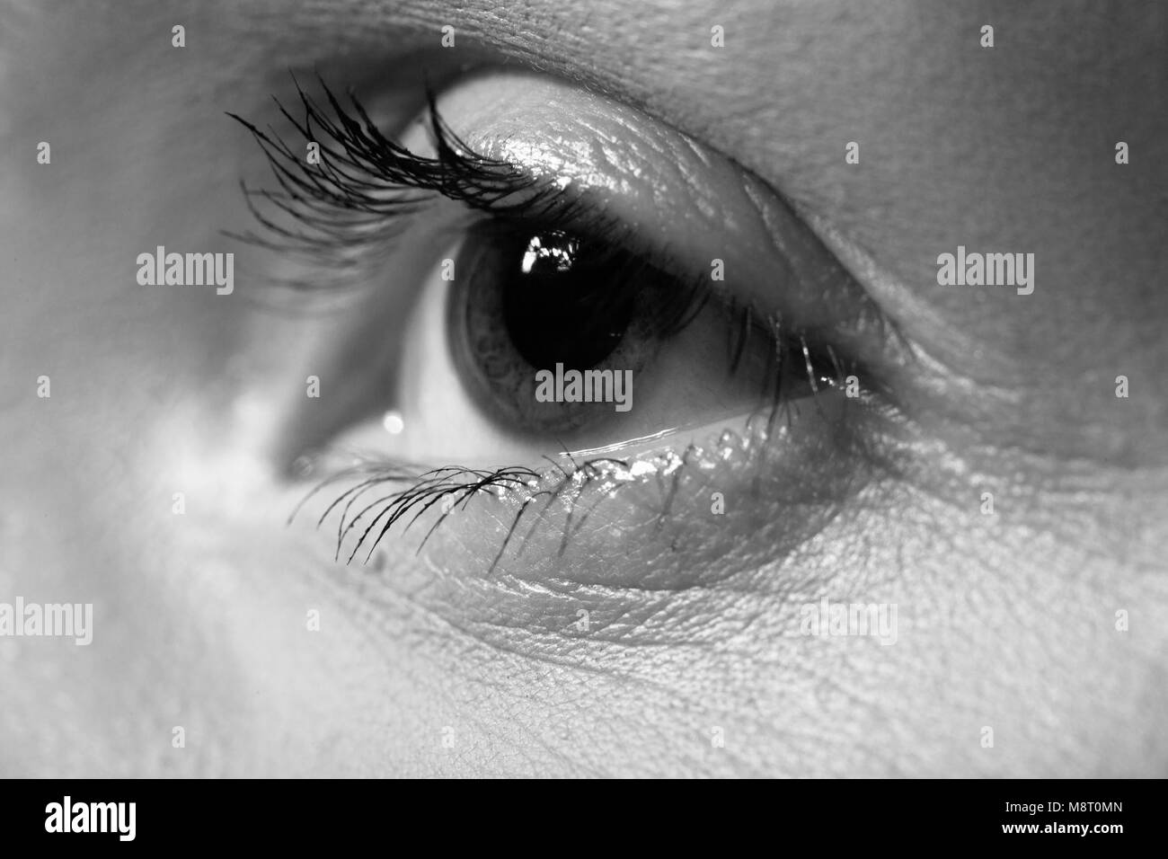 Female eyelashes hi-res stock photography and images - Alamy