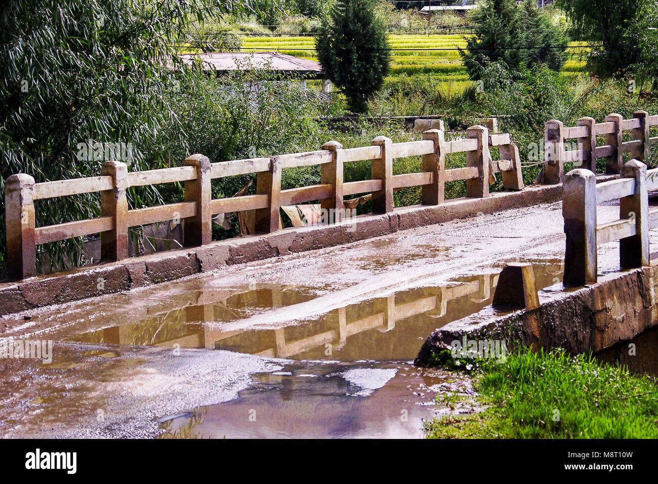 Old timber and stone road bridge after the rain, Paro, Bhutan ...