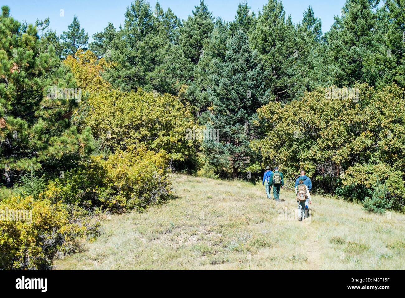 Cibola Mountain air Gavilan Trail Hawk Watch Stock Photo - Alamy