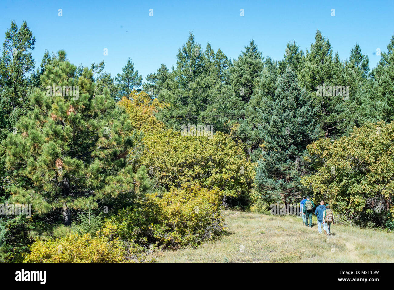 Gavilan trail hi-res stock photography and images - Alamy