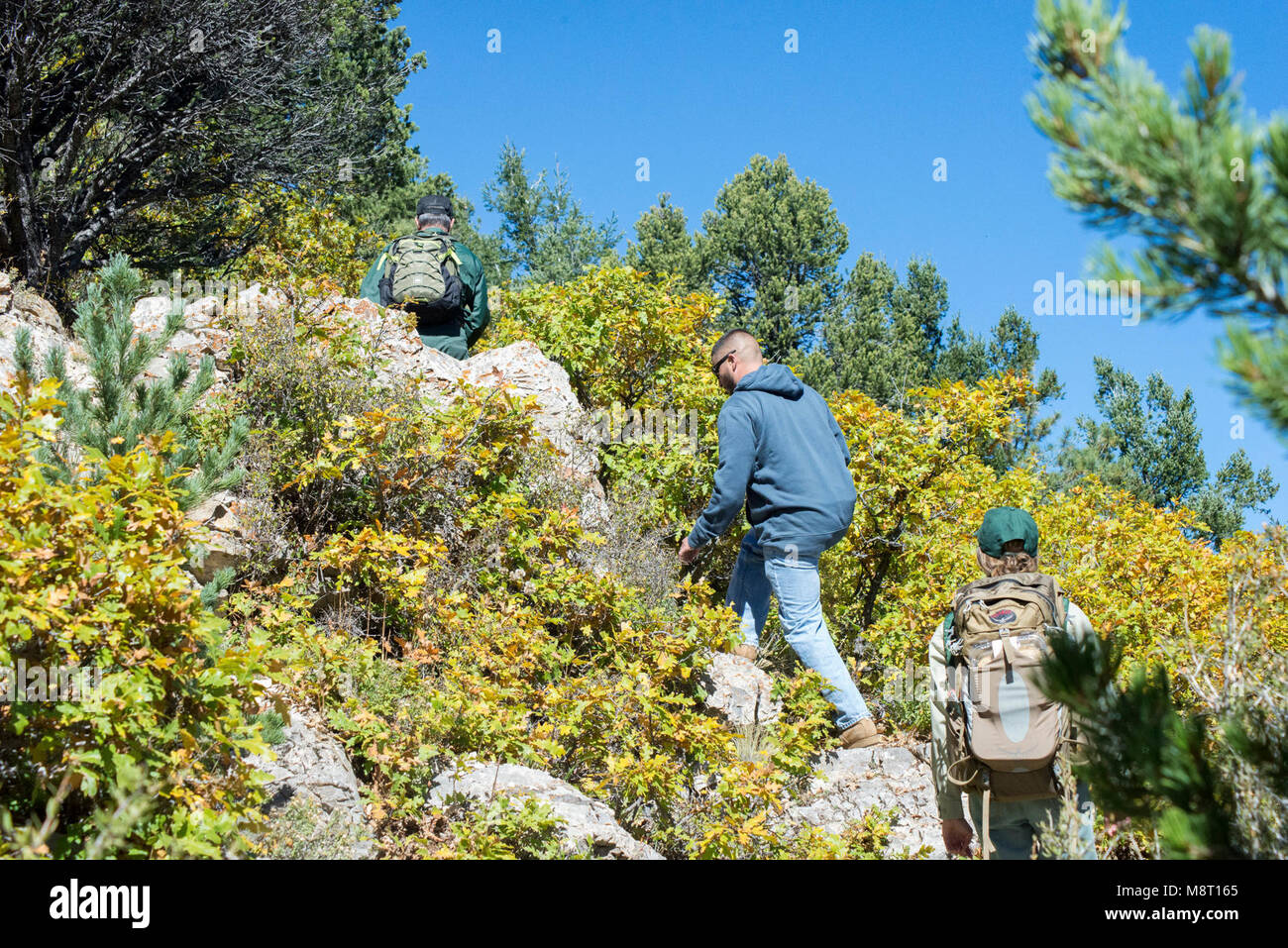 Cibola Mountain air Gavilan Trail Hawk Watch Stock Photo - Alamy