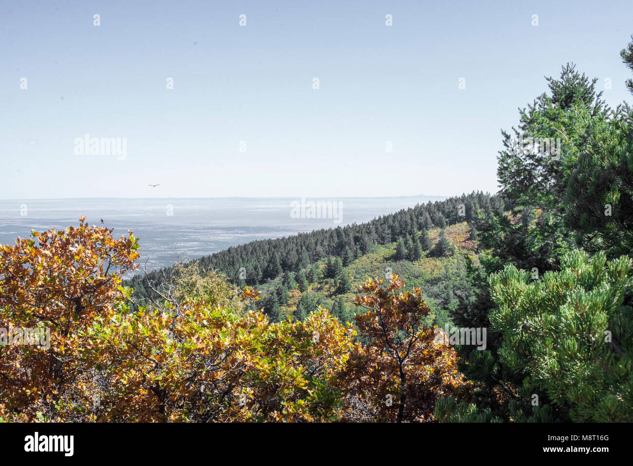 Gavilan trail hi-res stock photography and images - Alamy