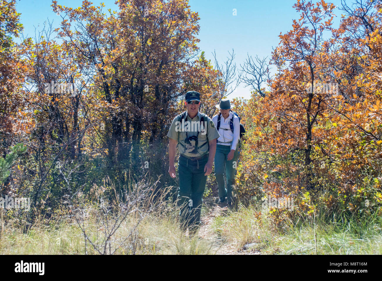 Cibola Mountain air Gavilan Trail Hawk Watch Stock Photo - Alamy