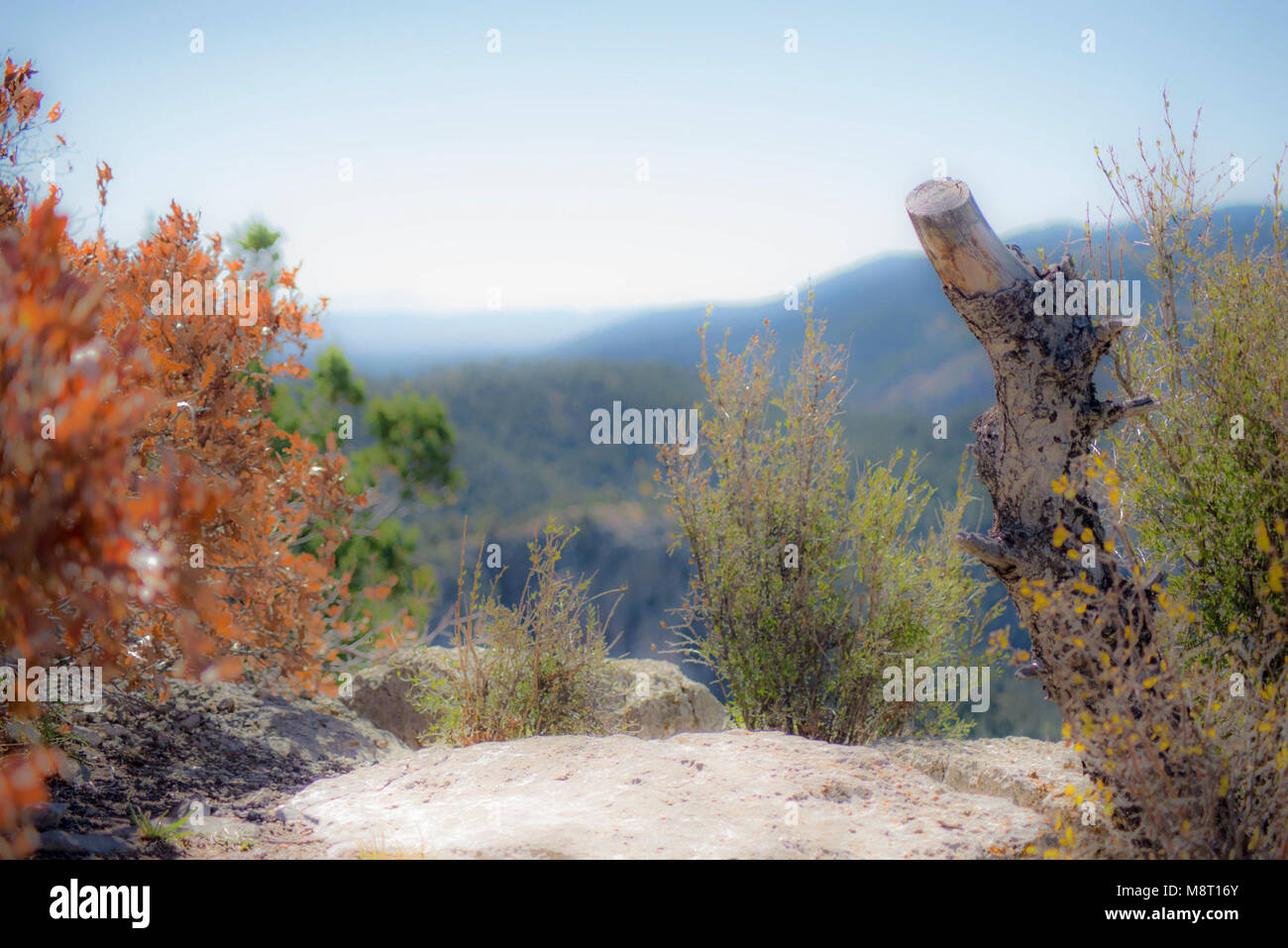 Gavilan trail hi-res stock photography and images - Alamy