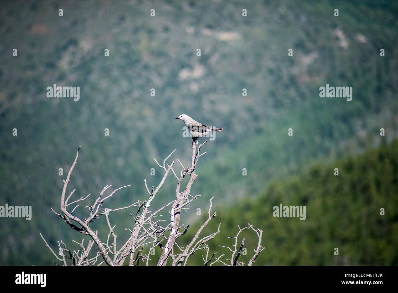 Gavilan trail hi-res stock photography and images - Alamy