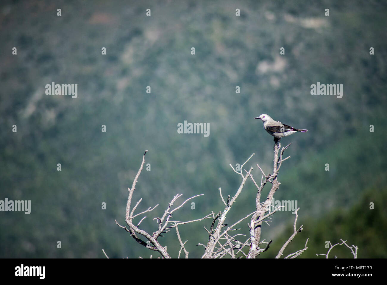Gavilan trail hi-res stock photography and images - Alamy