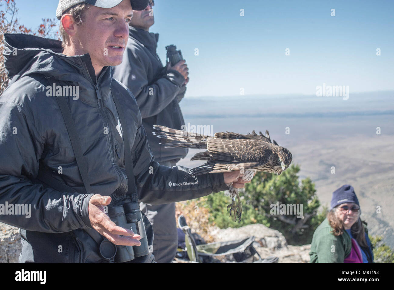 Cibola Mountain air Gavilan Trail Hawk Watch Stock Photo - Alamy