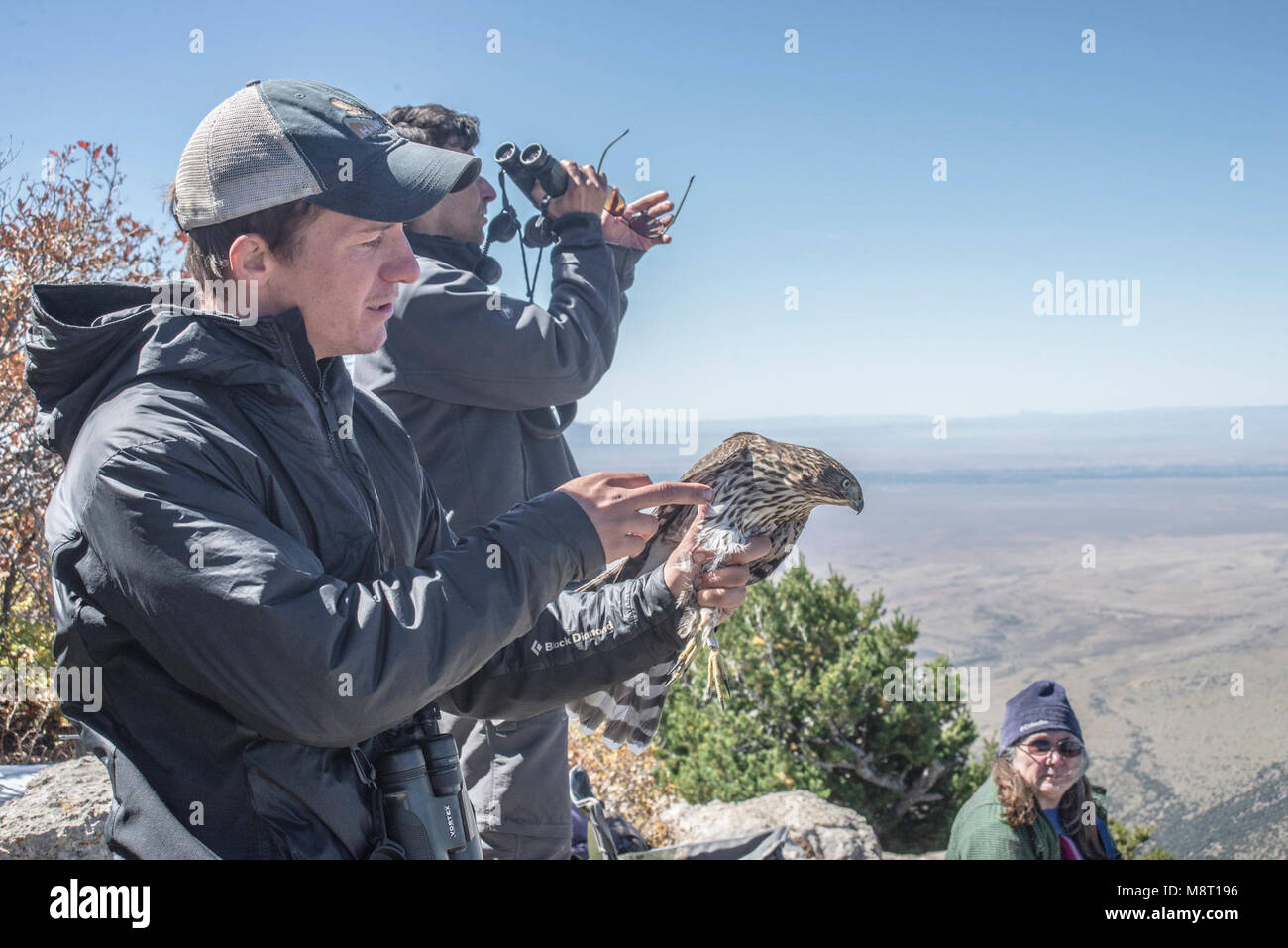 Cibola Mountain air Gavilan Trail Hawk Watch Stock Photo - Alamy